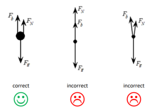 AP Physics 1 : Introduction: Forces in One Dimension Study Notes