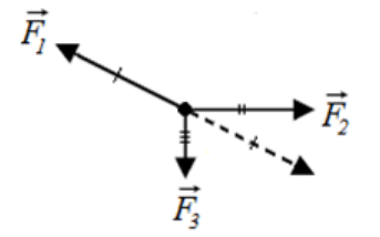 AP Physics 1 : Introduction: Forces in Multiple Dimensions Study Notes
