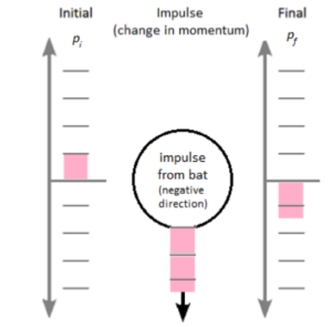 AP Physics 1 : Introduction: Momentum Study Notes