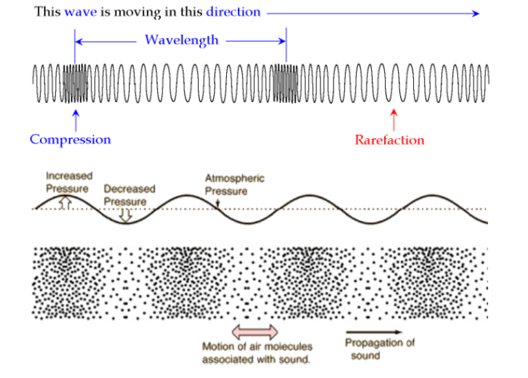 AP Physics 2 : Introduction: Mechanical Waves Study Notes