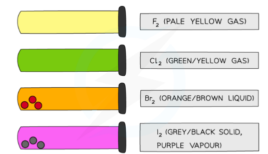 CIE AS Level Chemistry 9701: Topic 11: Group 17 - Unit : 11.1 Physical ...
