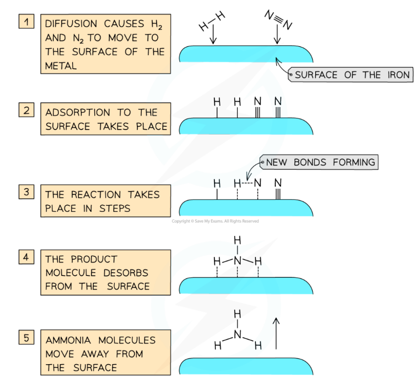 CIE AS Level Chemistry 9701: Topic 26: Reaction kinetics- Unit : 26.2 ...