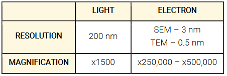A Level Biology Topic 1.1: The microscope in cell studies Notes