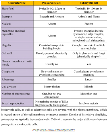 A Level Biology Topic 1.2: The microscope in cell studies Notes