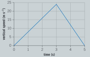 IB MYP 4-5 Physics chapter 4 : Movement - Practice Questions
