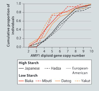 IB MYP Biology : Metabolism - digestion Practice Question - eLearning ...