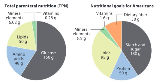 IB MYP Biology : Metabolism - nutrition Practice Question - IBDP, MYP ...