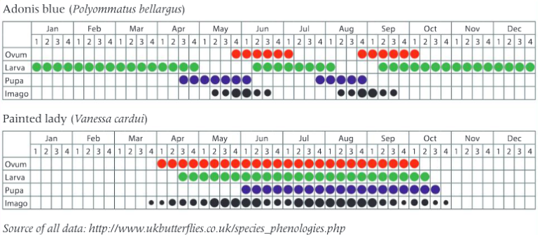 IB MYP Biology : Evolution - life cycles Practice Question