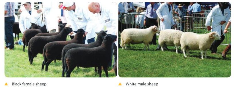 IB MYP 4-5 Biology Chapter 10 : Consequences–Practice Questions