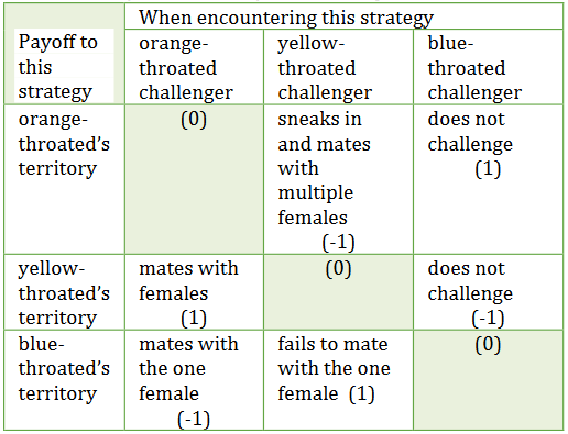 IB MYP 4-5 Biology Chapter 12 : Models–Practice Questions