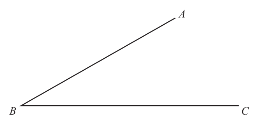 iGCSE Mathematics (0580) : C4.2 Measure and draw lines and angles. iGCSE Style Questions Paper 1 ...