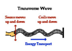 CIE AS/A Level Physics 7.2 Transverse and longitudinal waves Study Notes