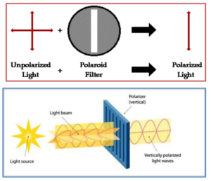 CIE AS & A Level Physics 9702: Topic 7: Waves- Unit : 7.5 Polarisation ...