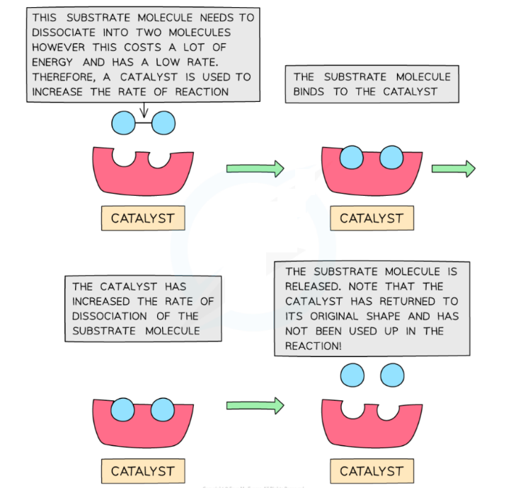 CIE AS Level Chemistry 9701: Topic 8: Reaction kinetics - Unit : 8.3 ...