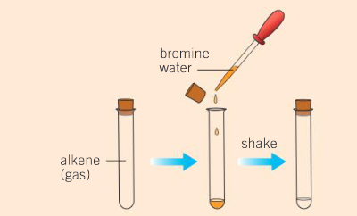 IB MYP 4-5 Chemistry chapter 2 : Evidence – Practice Questions