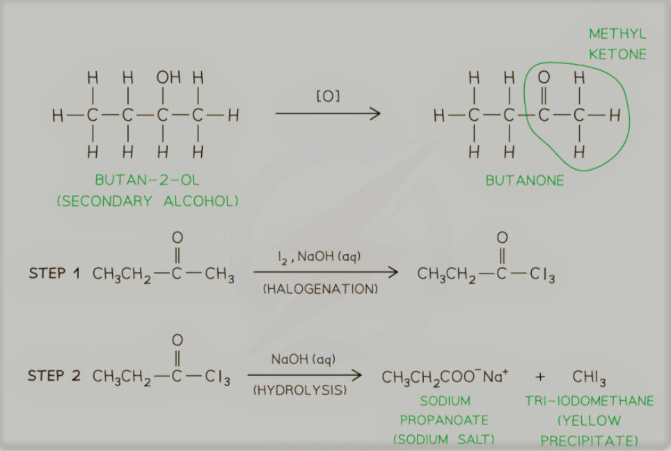 CIE AS Level Chemistry 9701: Topic 15: Halogen compounds- Unit : 15.1 ...