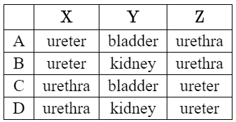 iGCSE Biology (0610)-13.1 Excretion in humans - iGCSE Style Questions ...