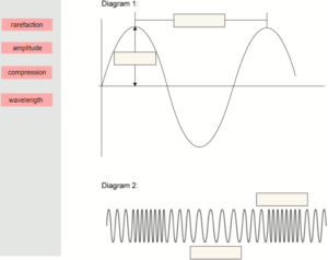IB MYP 4-5 Physics | Waves |Longitudinal and transverse waves Practice ...