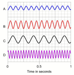 IB MYP 4-5 Physics | Waves |Longitudinal and transverse waves Practice ...