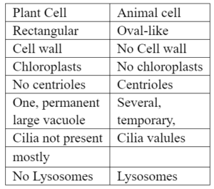 IB MYP Biology Cells Study Notes
