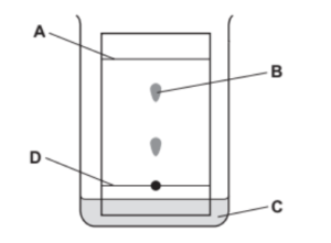 iGCSE Chemistry (0620) Core:12.3 Chromatography: Exam Style Questions ...
