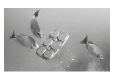 IB DP Business Management Unit 1: Business organization and environment ...