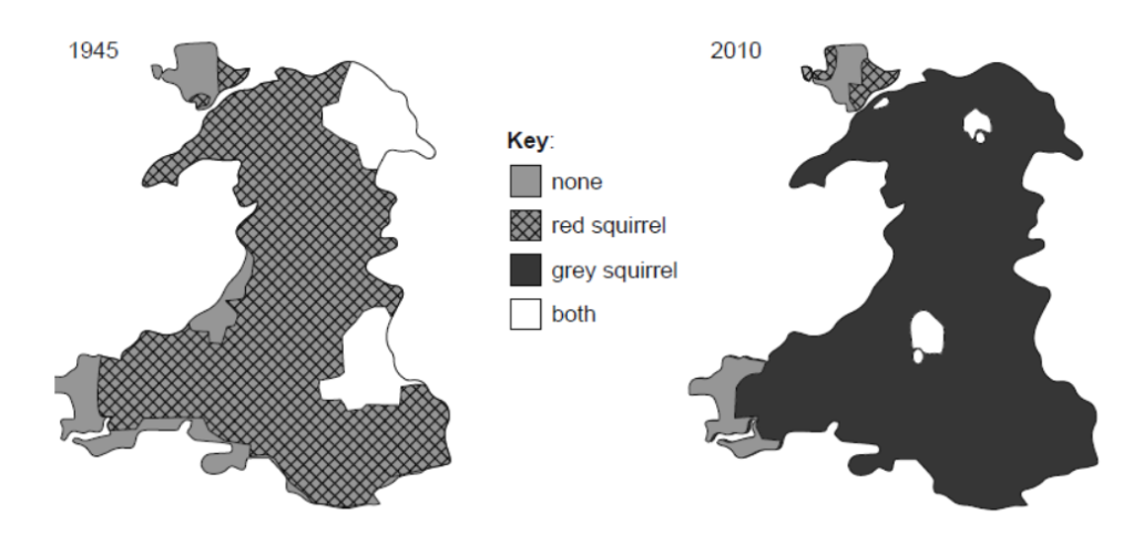 IB DP Biology A4.2 Conservation of biodiversity- FA 2025- IB Style ...