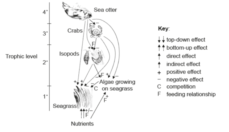 IB DP Biology A4.2 Conservation of biodiversity- FA 2025- IB Style ...
