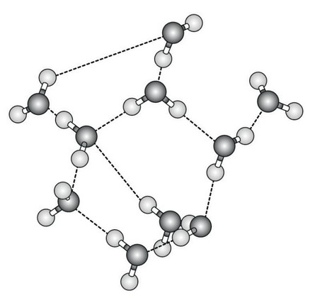 IB DP Biology A1.1 Water-FA 2025- IB Style Questions For SL Paper 2
