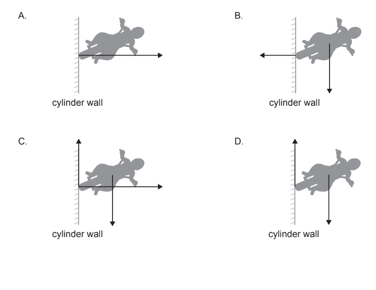 A.2 Forces and momentum SL Paper 1 | IBDP Physics SL 2025| Exam Style ...