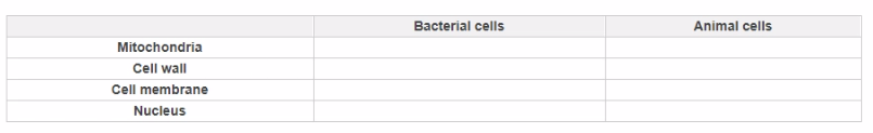 IB MYP Biology : Cells - structure and function Practice Question ...