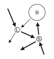IB DP Biology- D4.2 Stability and change -FA 2025- IB Style Questions ...