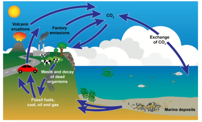 IB MYP Nov 2020 Chemistry On-screen examination