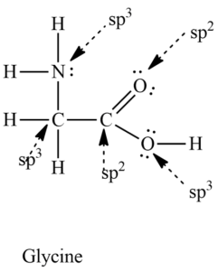 IB DP Chemistry Structure 2.2 The covalent model IB Style Question Bank ...