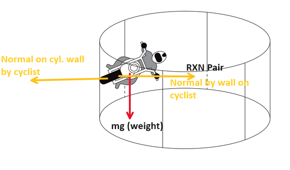 A.2 Forces and momentum SL Paper 1 | IBDP Physics SL 2025| Exam Style ...