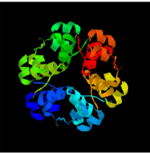 IB DP Biology Proteins Study Notes