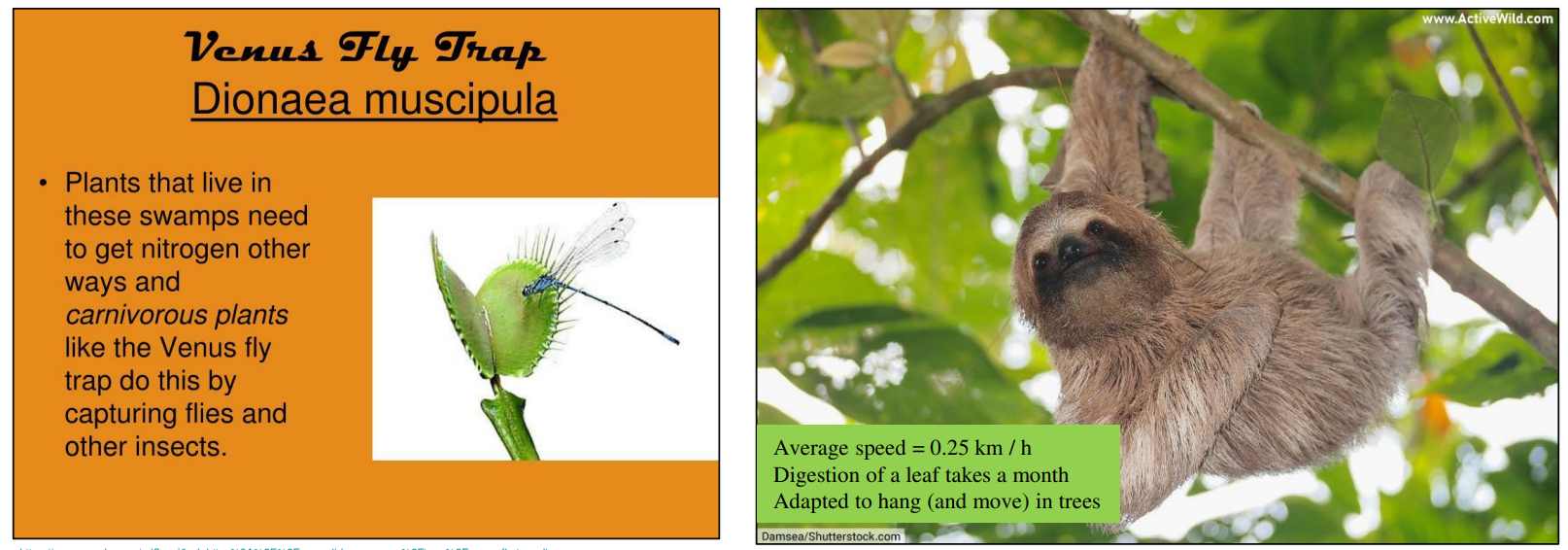 IB DP Biology Muscle and motility Study Notes | IITian Academy