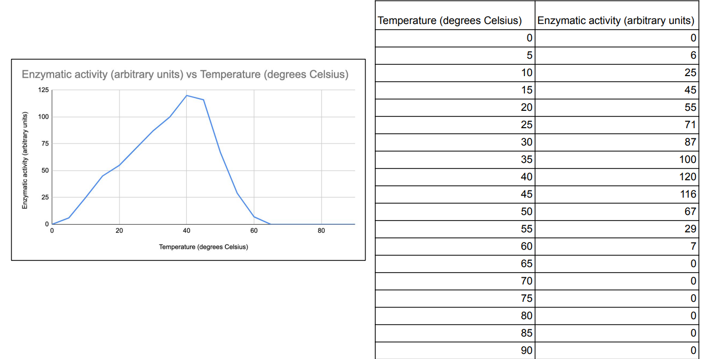 IBDP Biology 2025 SL&HL: C1.1 Enzymes and metabolism Study Notes