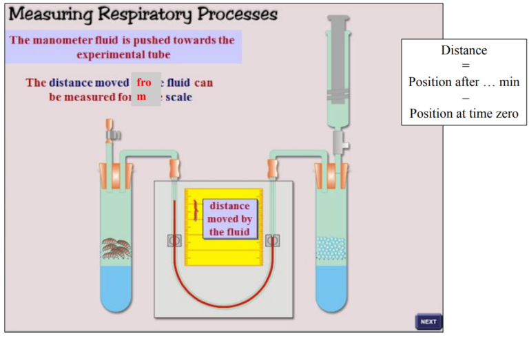 IBDP Biology 2025 SL&HL: C1.2 Cell respiration Study Notes
