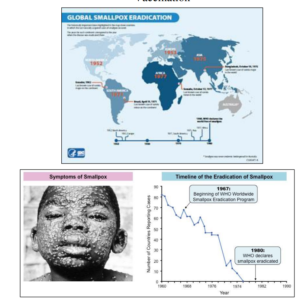 IBDP Biology 2025 SL&HL: C3.2 Defence against disease Study Notes