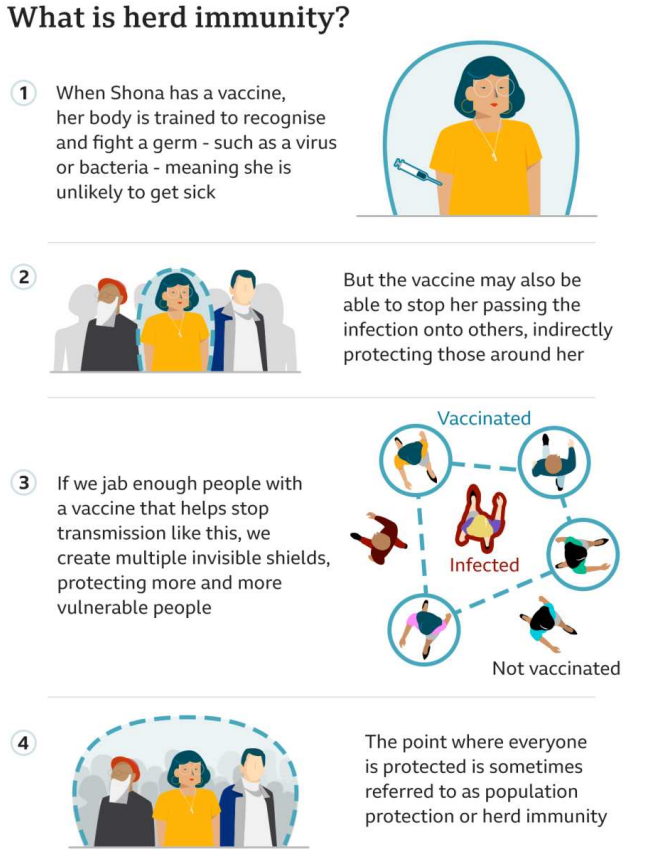 IBDP Biology 2025 SL&HL: C3.2 Defence against disease Study Notes