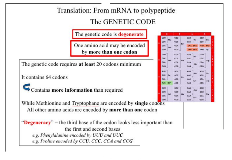 IBDP Biology 2025 SL&HL: D1.3 Mutations and gene editing Study Notes