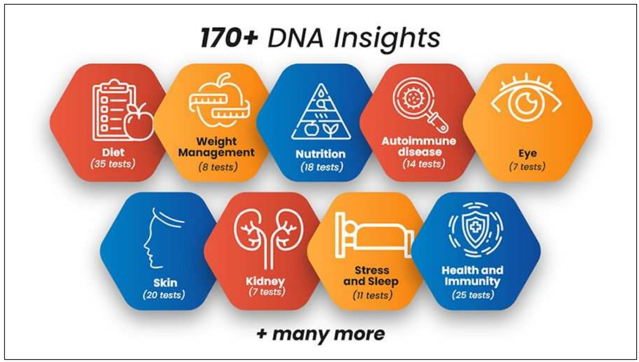 IBDP Biology 2025 SL&HL: D1.3 Mutations and gene editing Study Notes