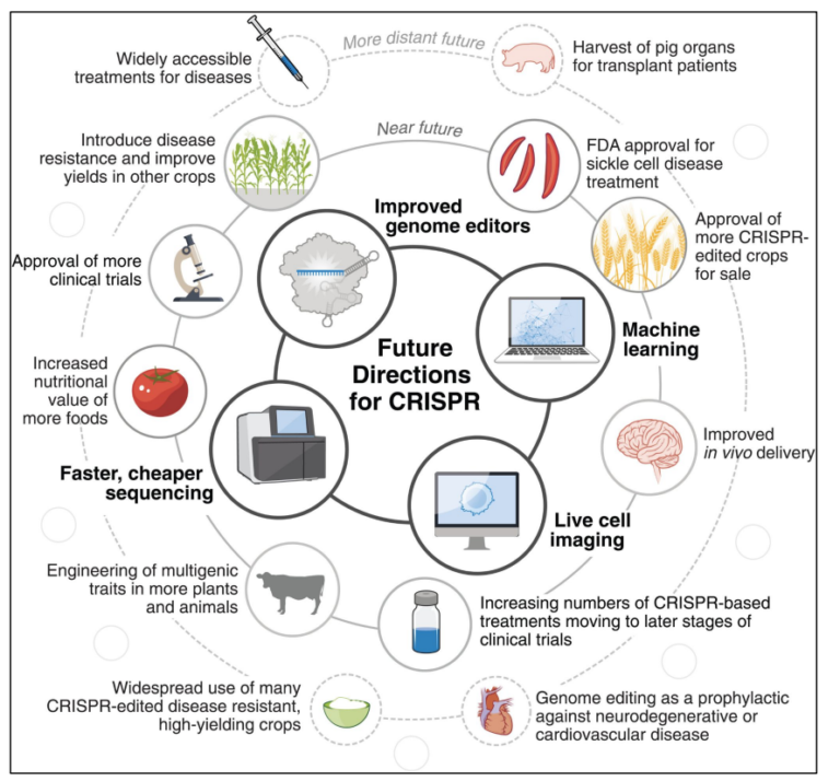 IBDP Biology 2025 SL&HL: D1.3 Mutations and gene editing Study Notes ...