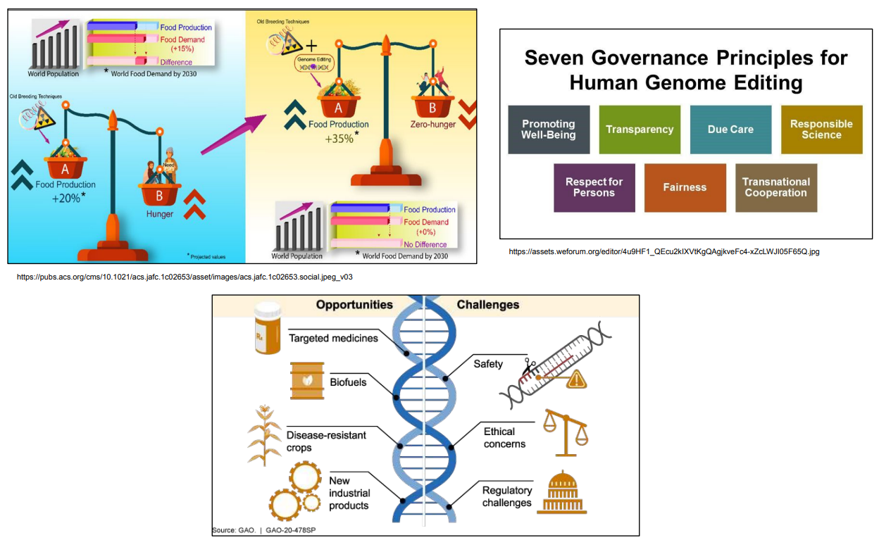 IBDP Biology 2025 SL&HL: D1.3 Mutations and gene editing Study Notes ...