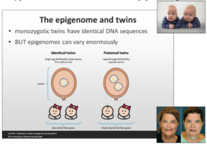 IBDP Biology 2025 SL&HL: D2.2 Gene expression Study Notes
