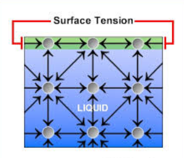 IBDP Biology 2025 SL&HL: A1.1 Water Study Notes