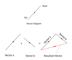 CIE iGCSE Physics (0625): Unit 1. Motion, forces and energy-Study Notes