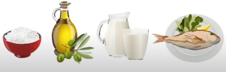 IB MYP Biology : Metabolism - nutrition Practice Question