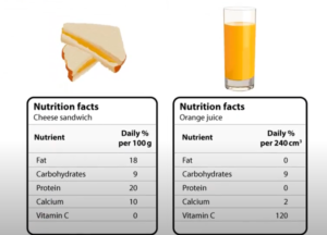 IB MYP Biology : Metabolism - nutrition Practice Question